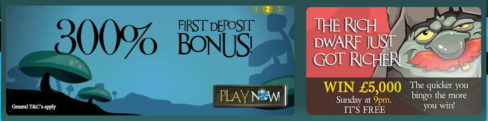 Looking For The Best Online Bingo Promotions - BingoSites.net